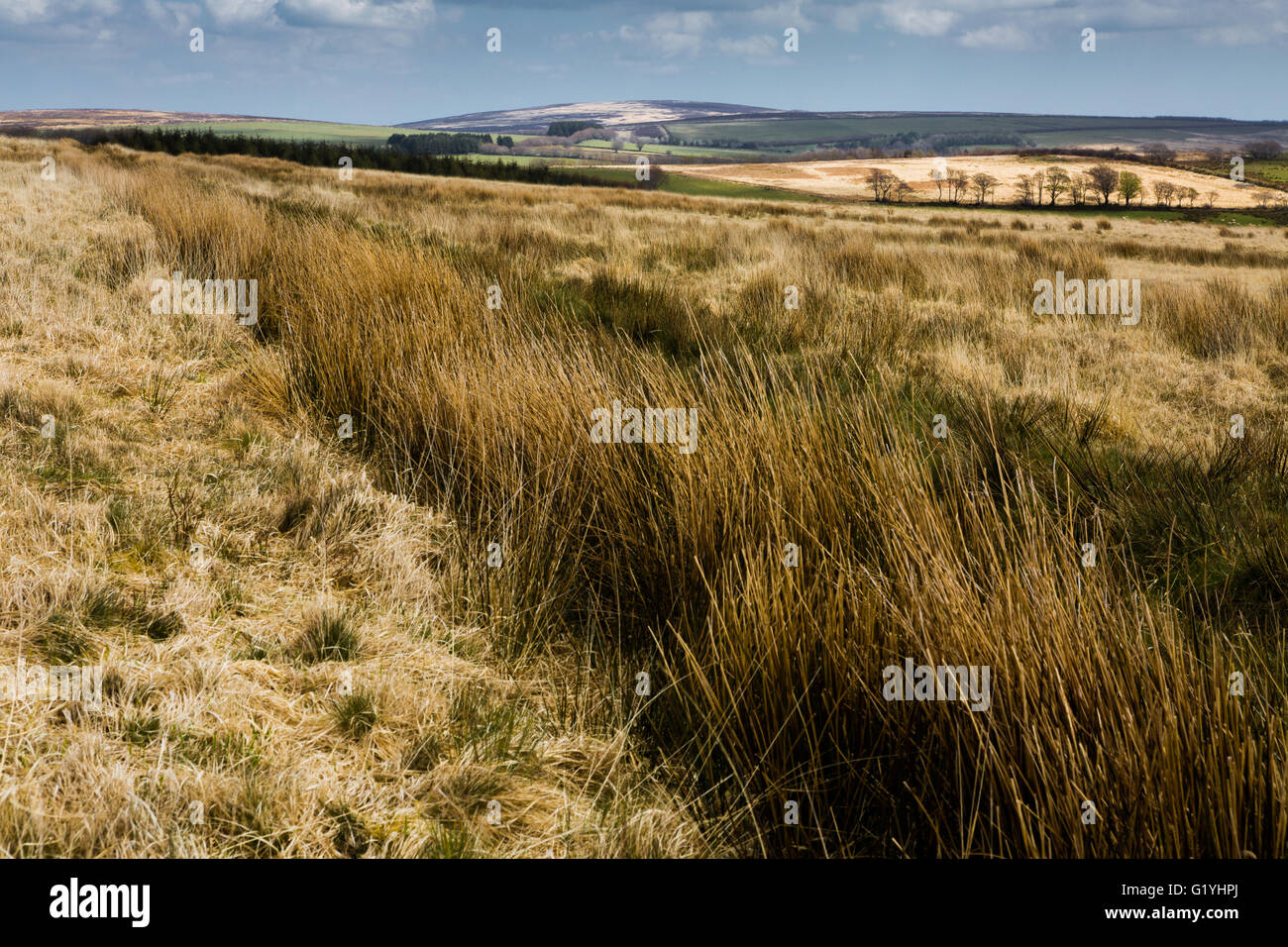Exmoor dunkery beacon hi-res stock photography and images - Alamy