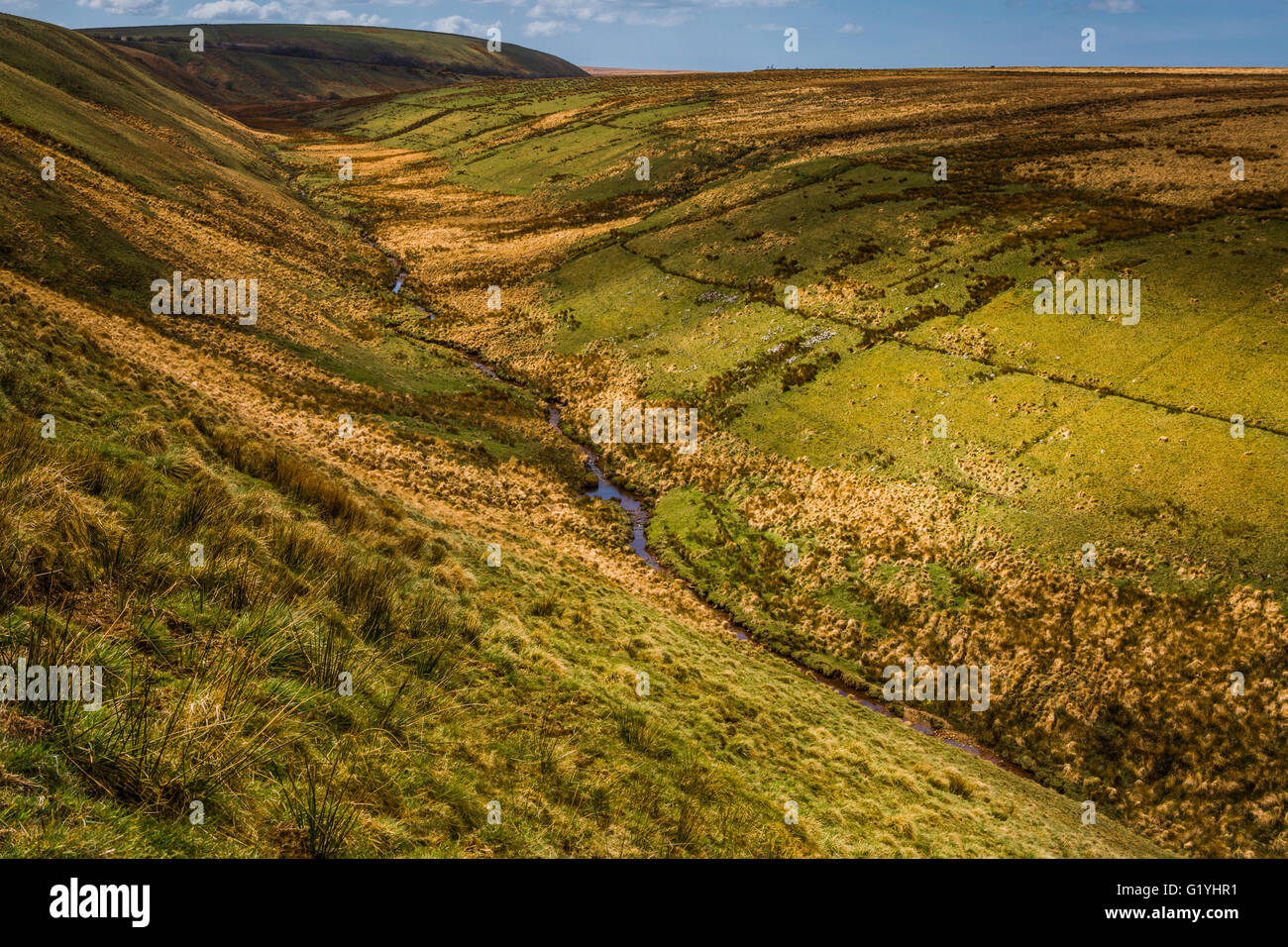 Exe head hi-res stock photography and images - Alamy