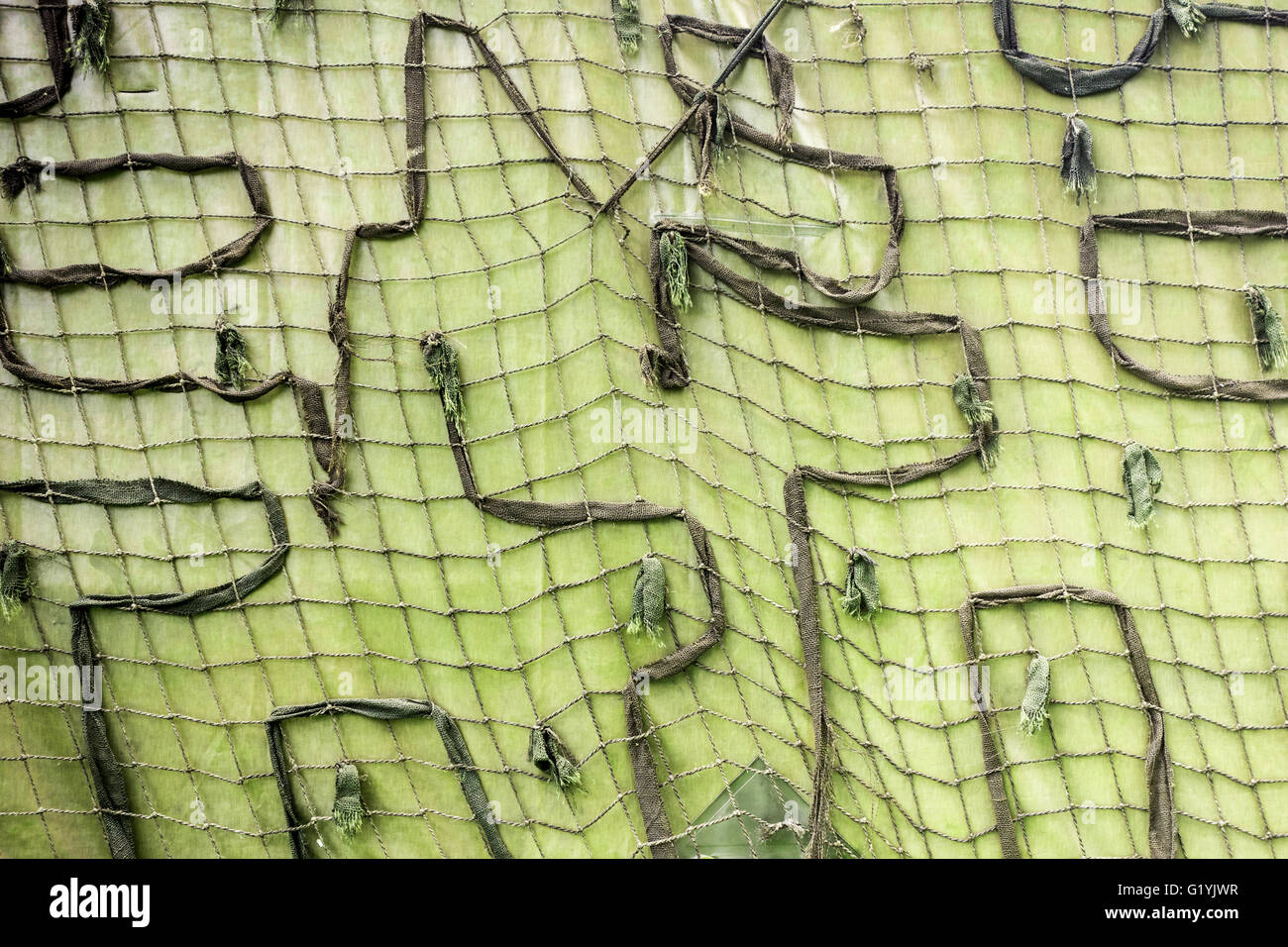 Random camouflage hi-res stock photography and images - Alamy