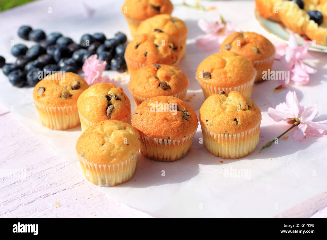 Rustic wooden breakfast background with bluberries, fresh muffins and ...