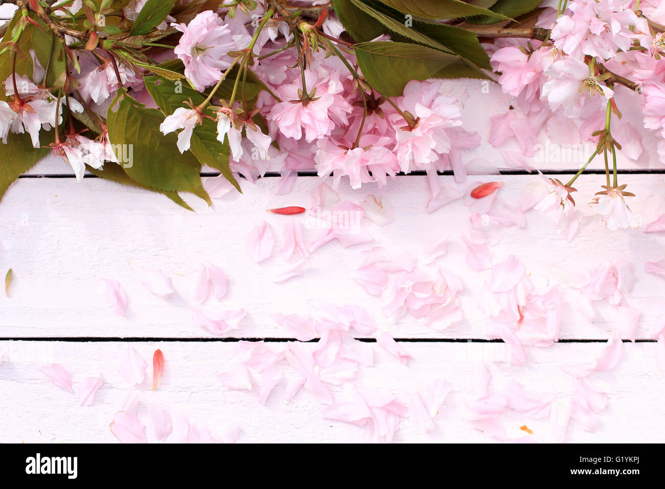 Romantic rustic hi-res stock photography and images - Alamy