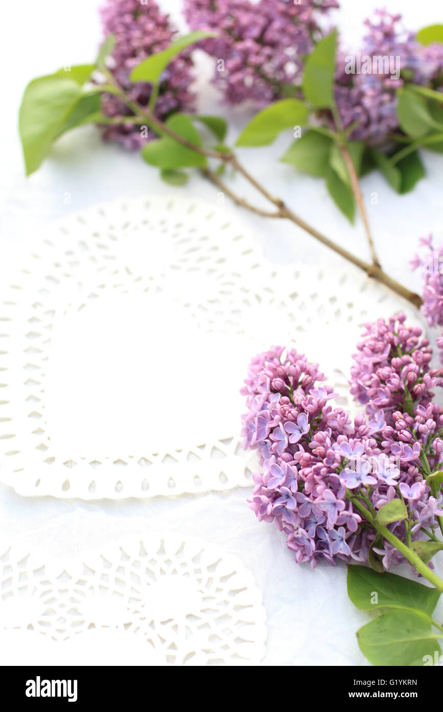 Subtle pattern floral background hi-res stock photography and images ...