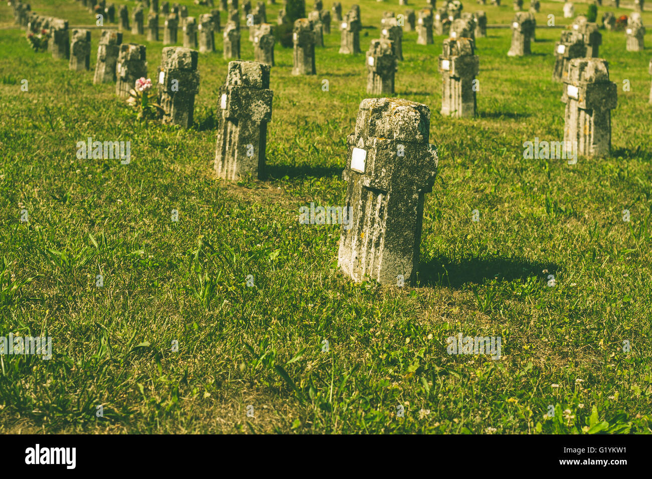 Ancient cemetery and grass Stock Photo - Alamy