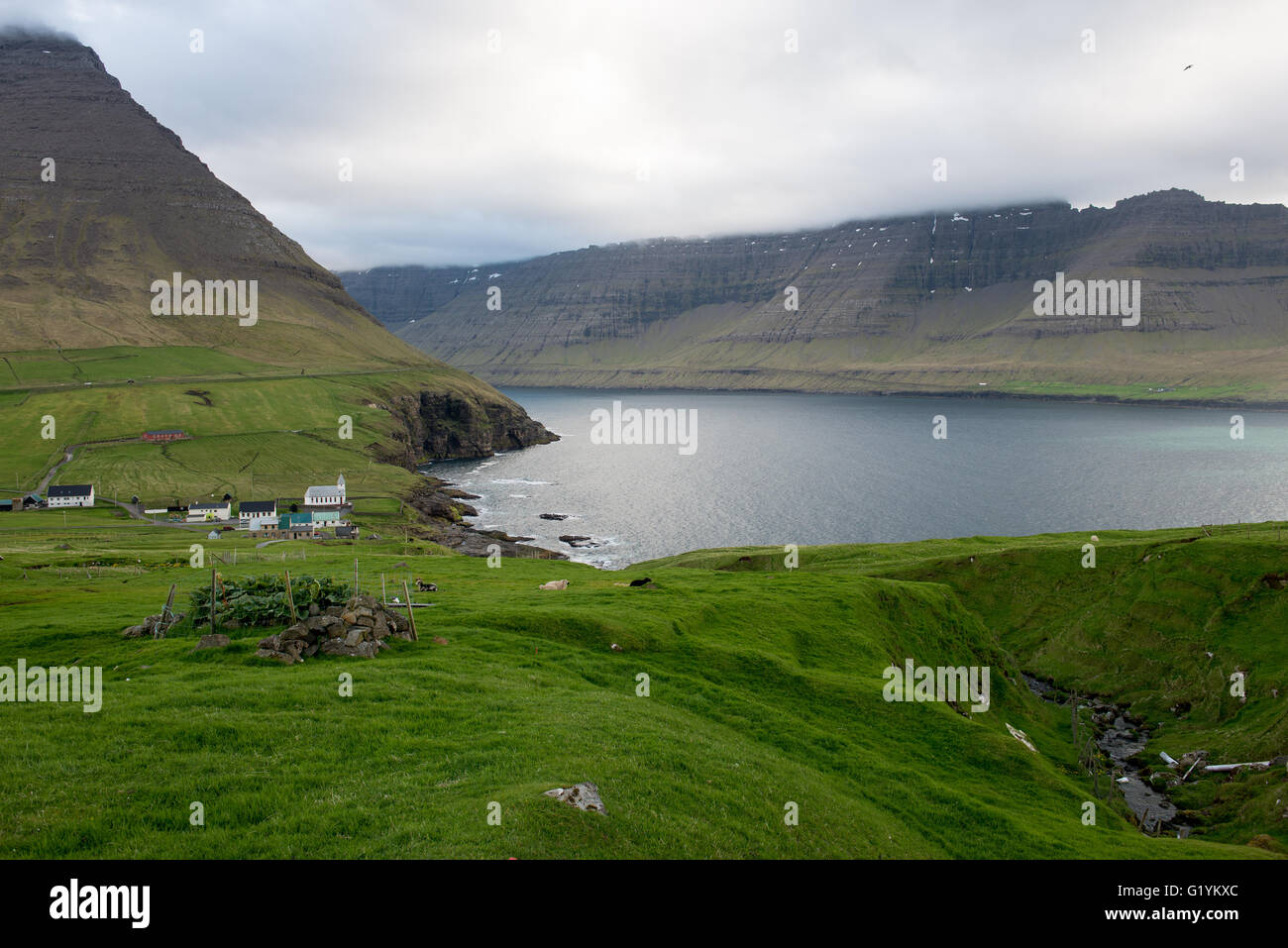 Typical landscape on the Faroe Islands, with green grass and rocks and ...
