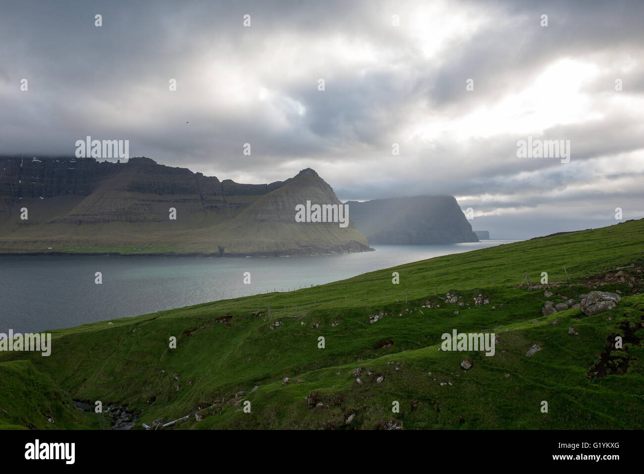 Typical landscape on the Faroe Islands, with green grass and rocks as ...