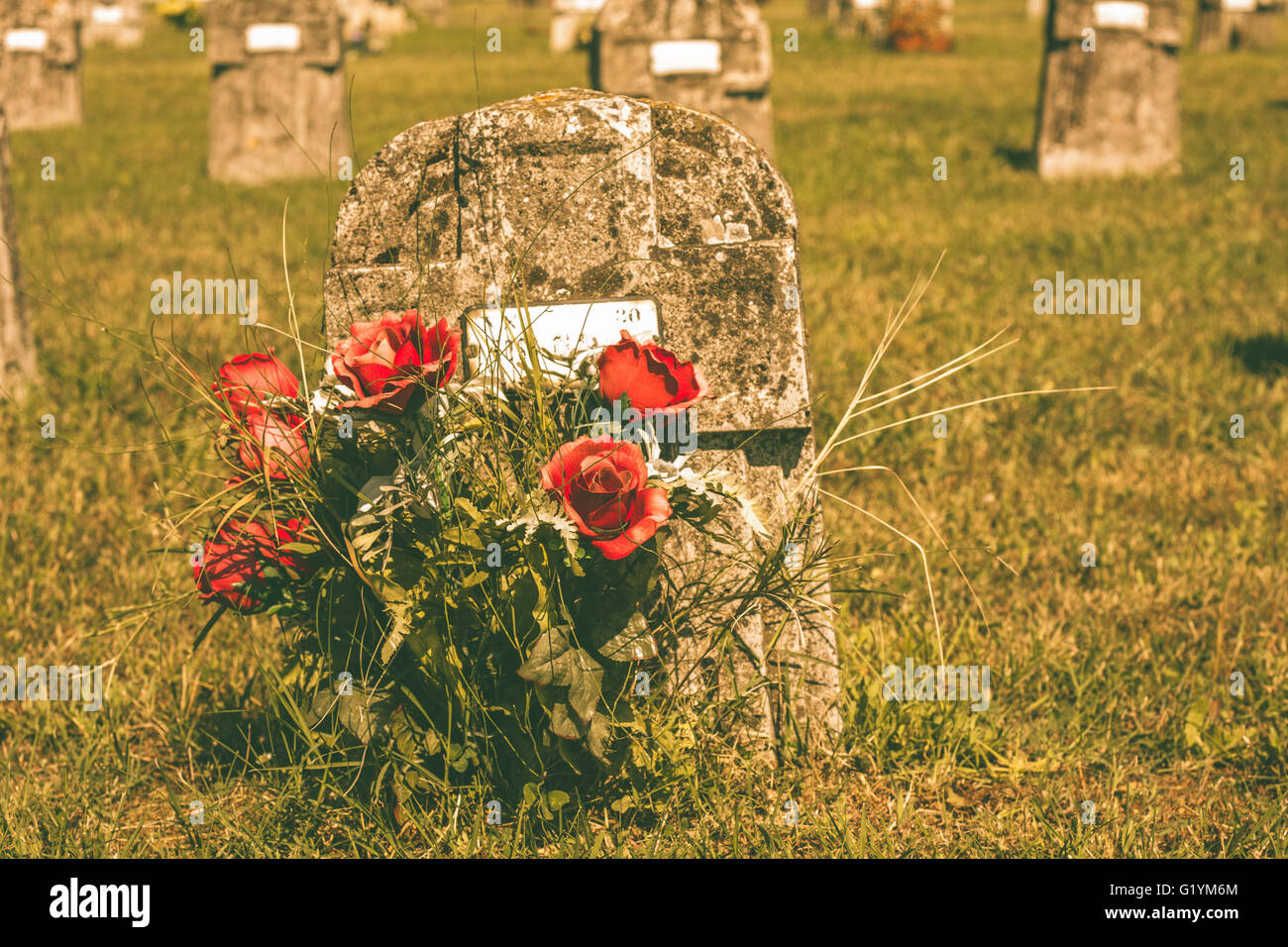 Grass cemetery hi-res stock photography and images - Alamy