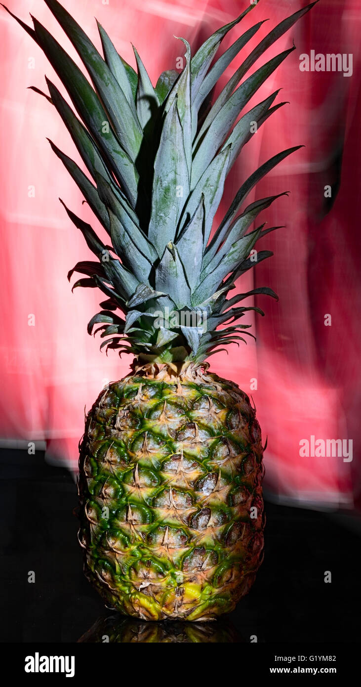 ananas fruit on red background Stock Photo - Alamy
