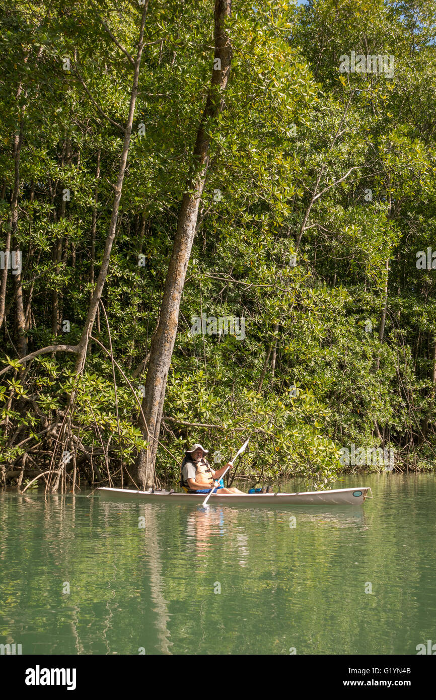 Swamp man hi-res stock photography and images - Alamy