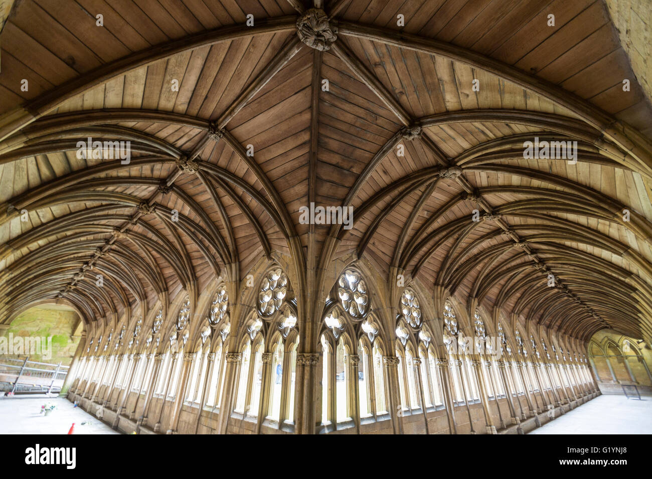 Cloister wooden Vault in Lincoln Cathedral , Lincoln, Lincolnshire, England, UK Stock Photo - Alamy