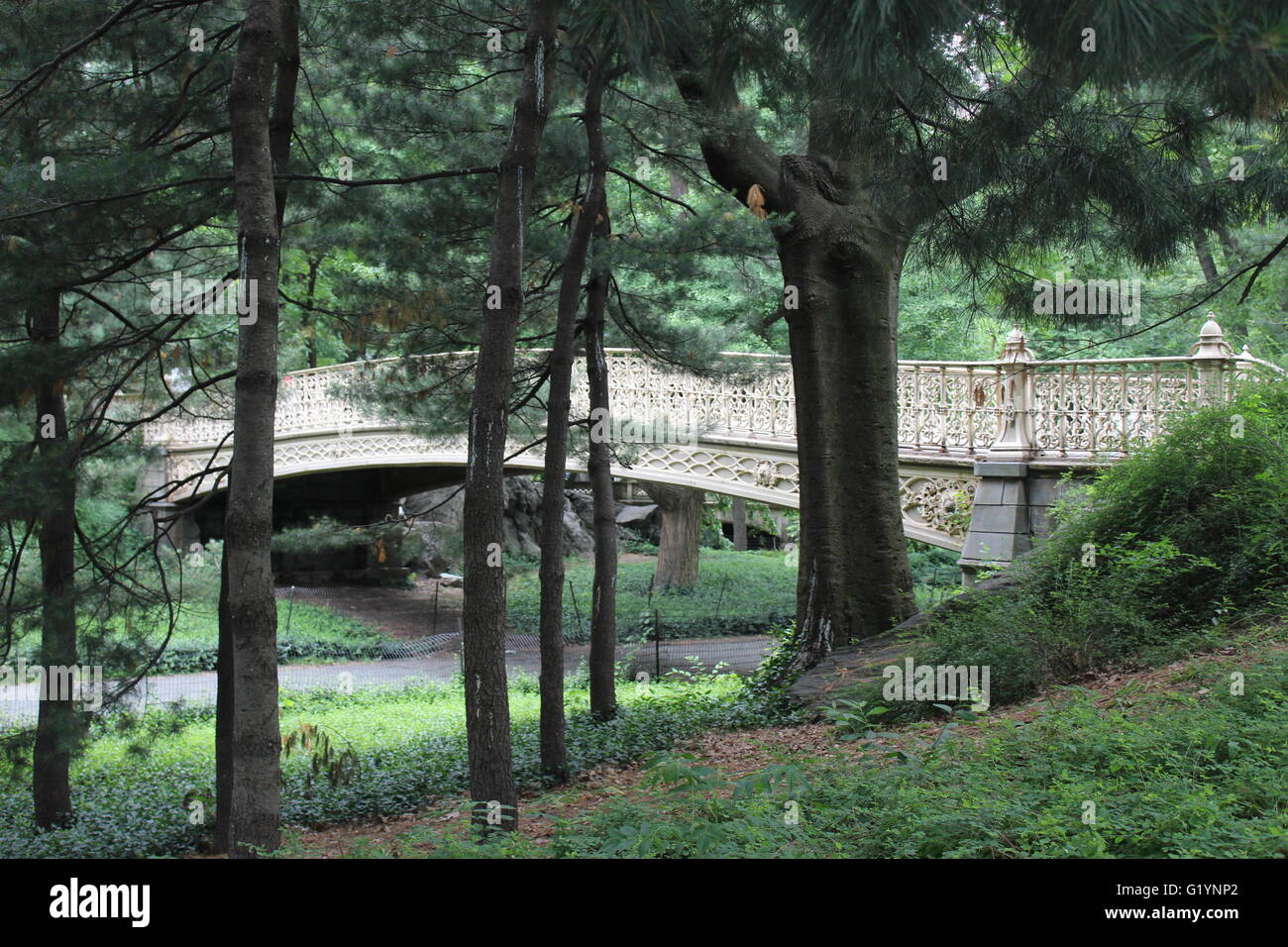 bridge in forest Stock Photo - Alamy