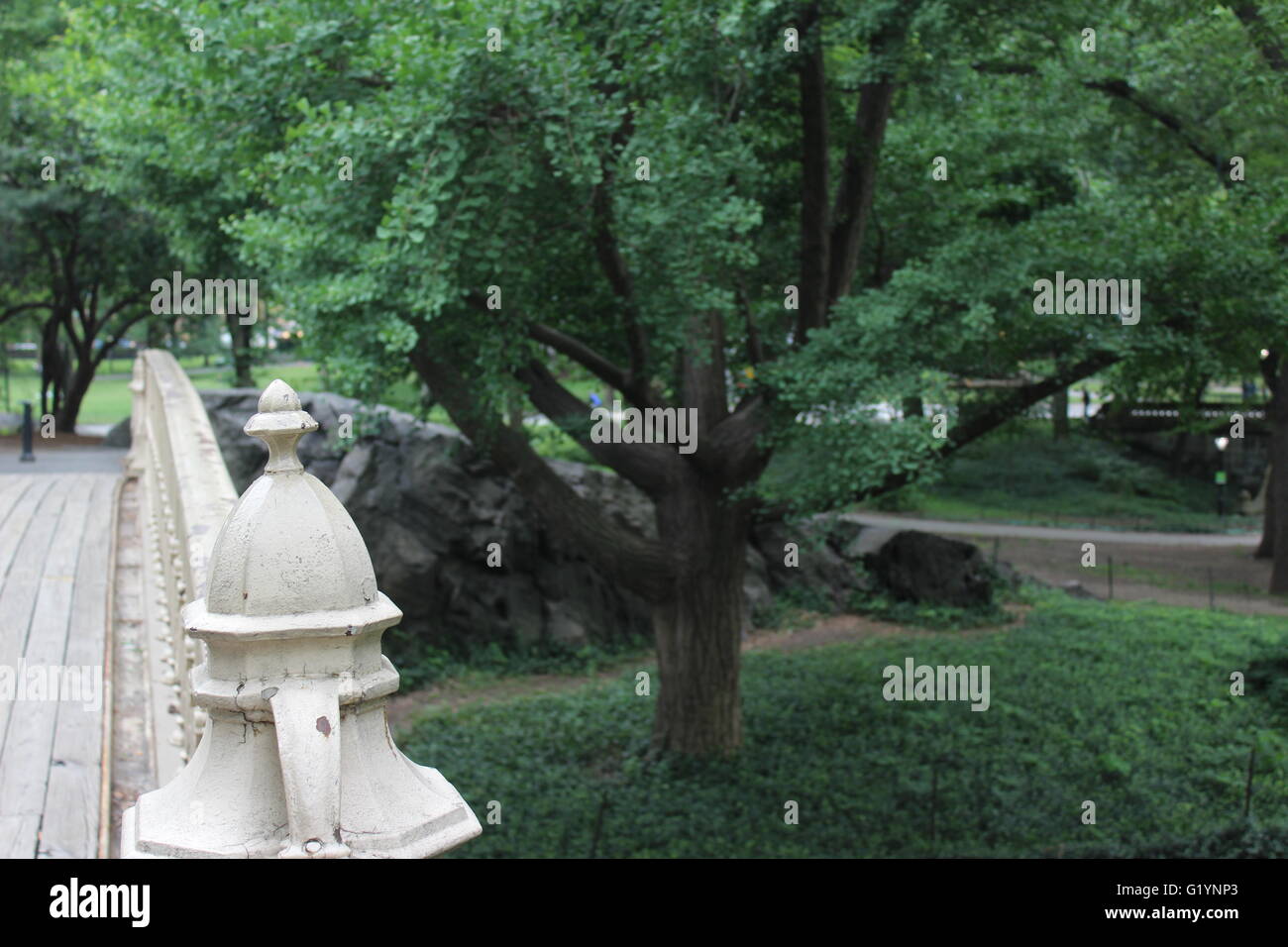 bridge in park Stock Photo - Alamy