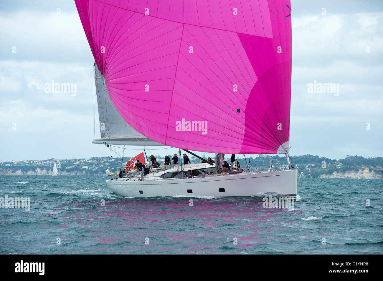 White yacht with Pink Spinnaker and Maltese flag sailing on the Hauraki ...