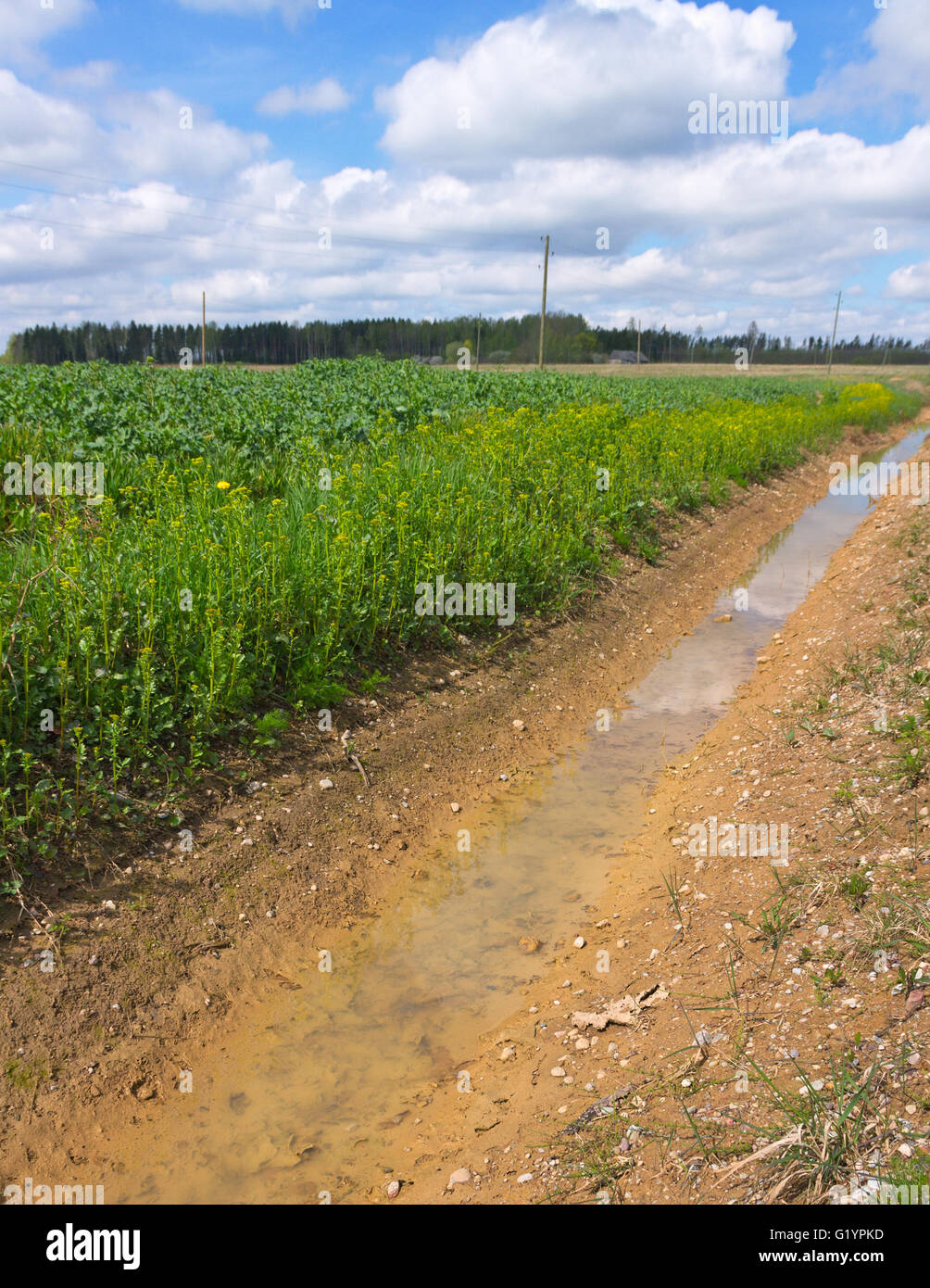 Ditch in a field, spring time Stock Photo - Alamy
