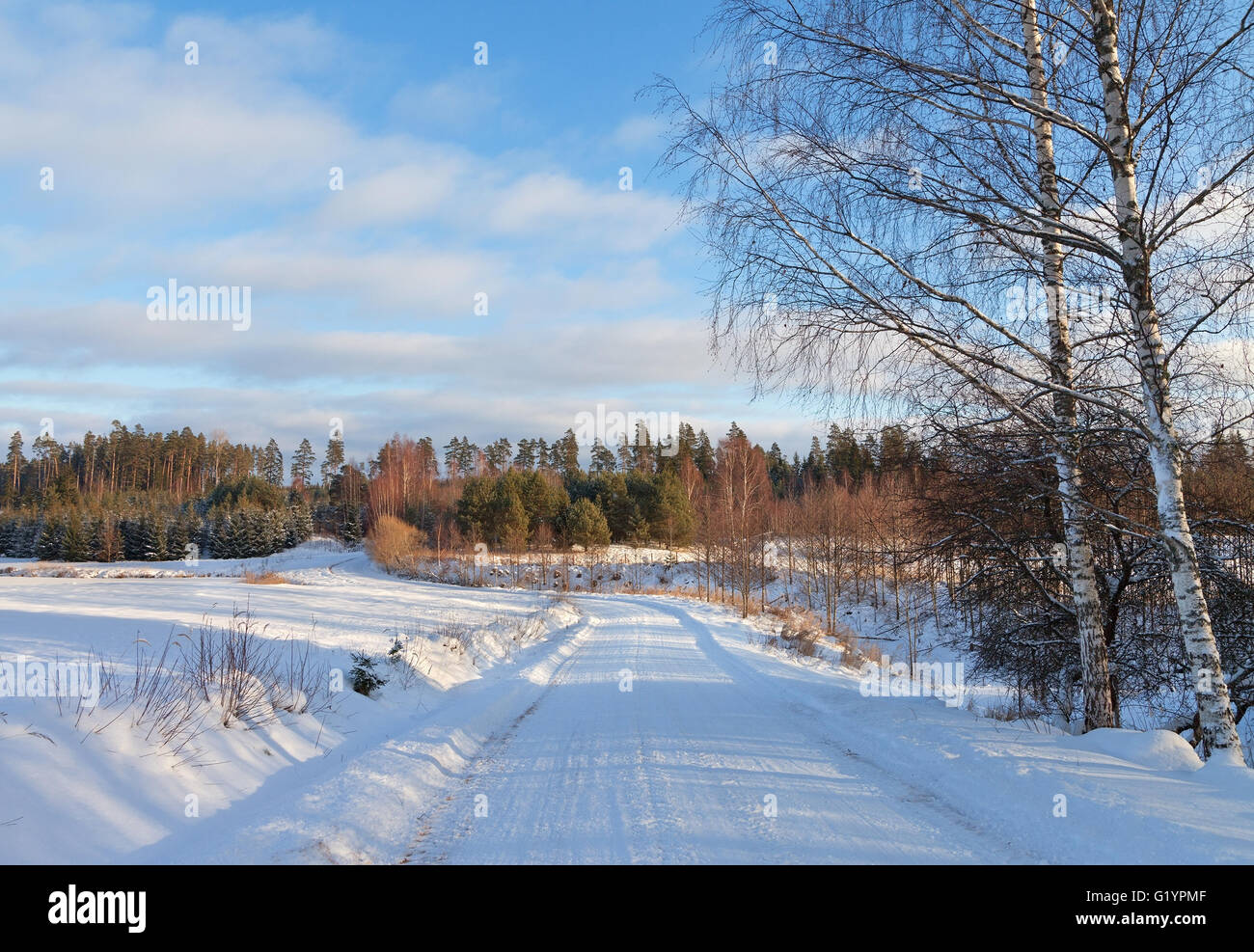Winter landscape with snowy country road Stock Photo - Alamy