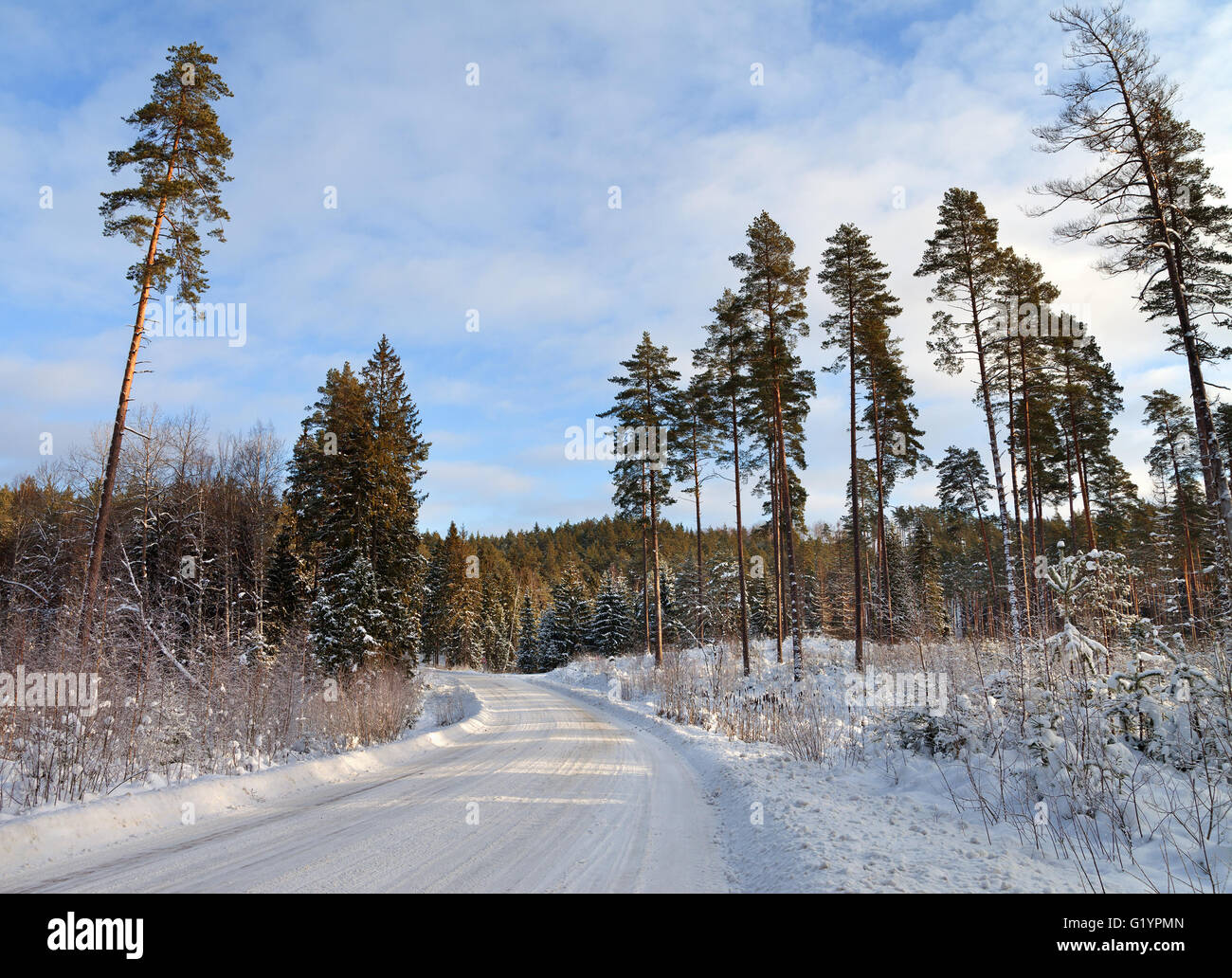 Winter landscape with snowy country road Stock Photo - Alamy