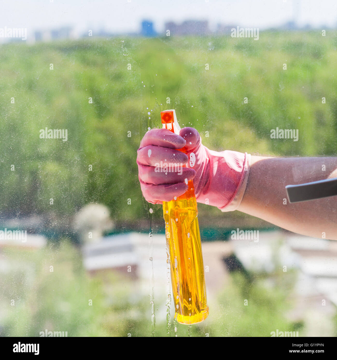 washing home window - cleaner sprays liquid from spray bottle to glass ...