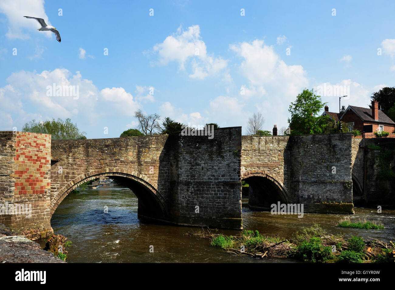 Battle Of Ludford Bridge High Resolution Stock Photography and Images ...