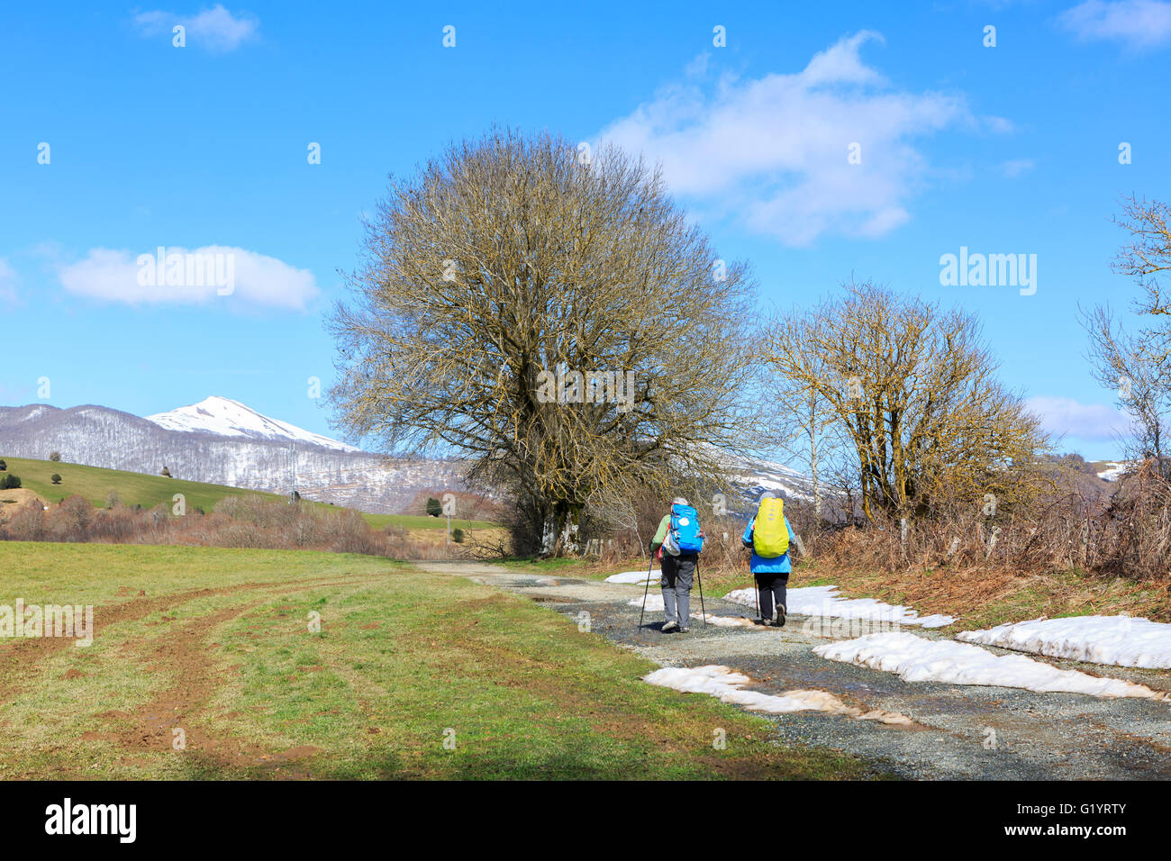 Camino track hi-res stock photography and images - Alamy