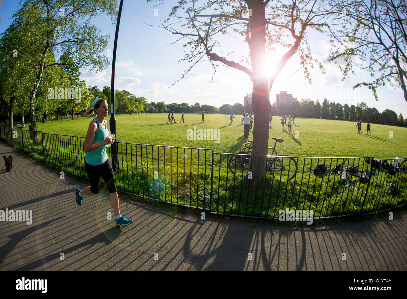 A female runner runs with a late afternoon sun in a london park Stock ...
