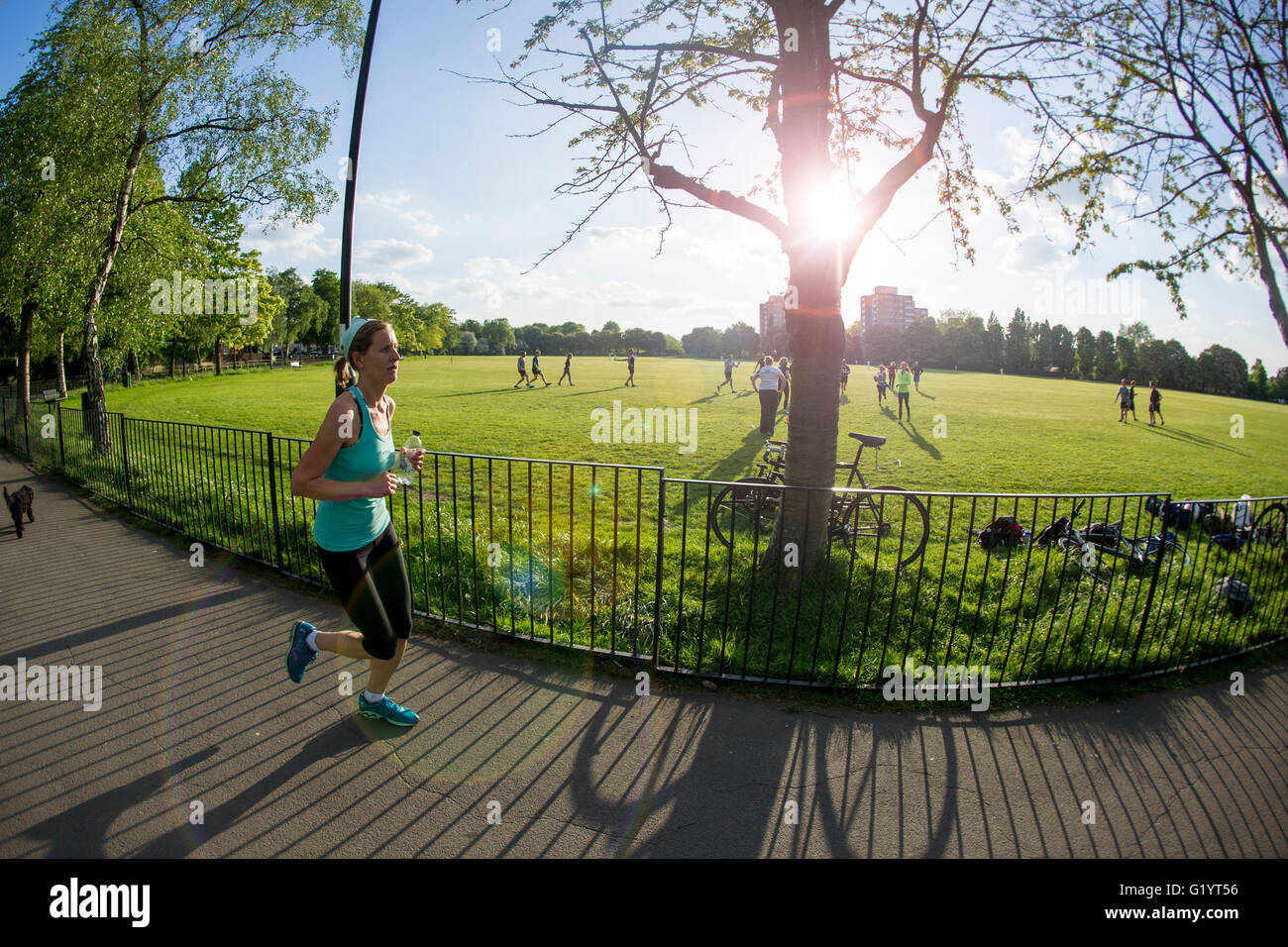 A female runner runs with a late afternoon sun in a london park Stock ...
