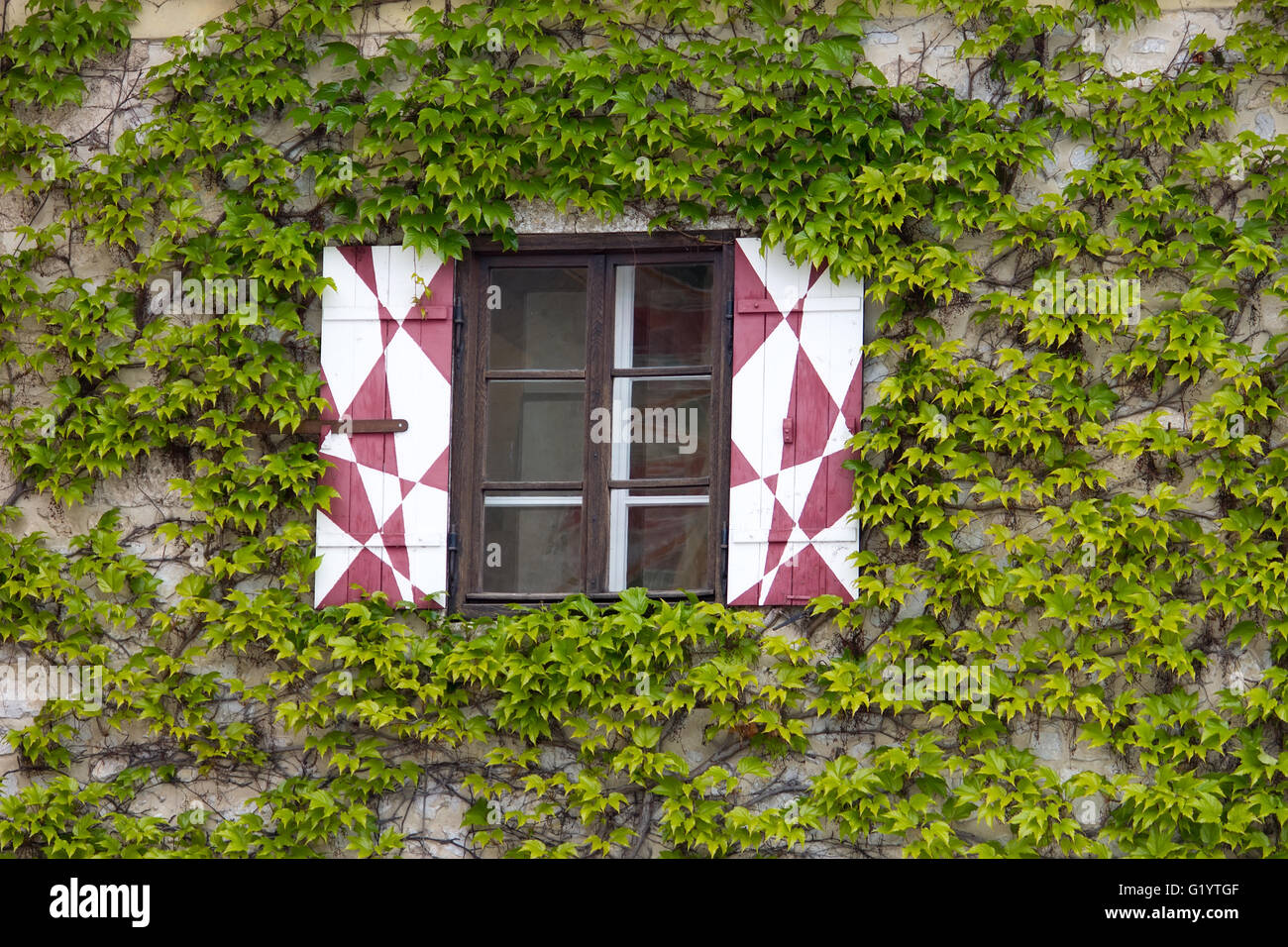 Window with ivy Stock Photo - Alamy
