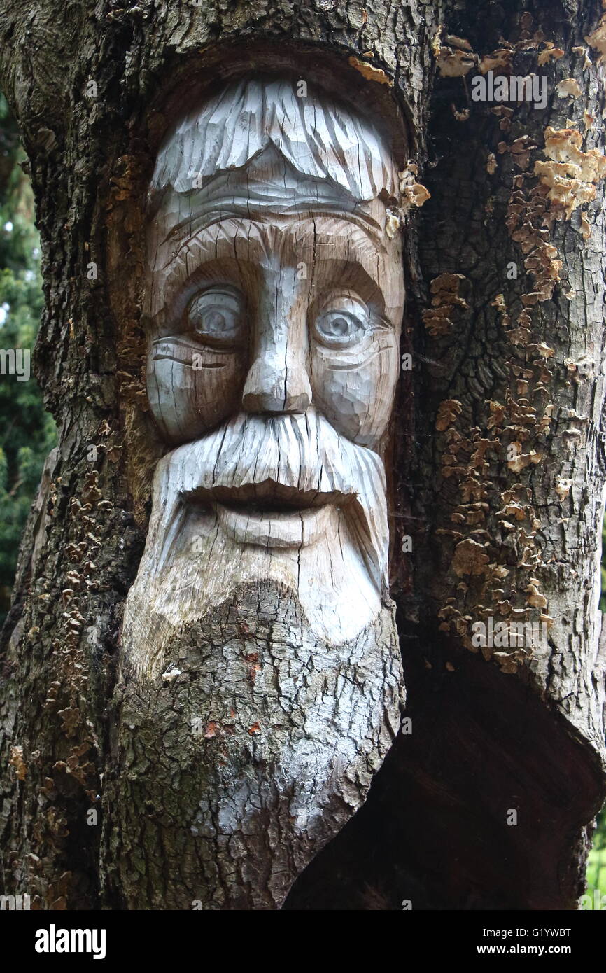 face carved into a tree Stock Photo - Alamy