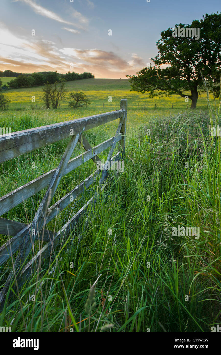 Open gateway to next field hi-res stock photography and images - Alamy