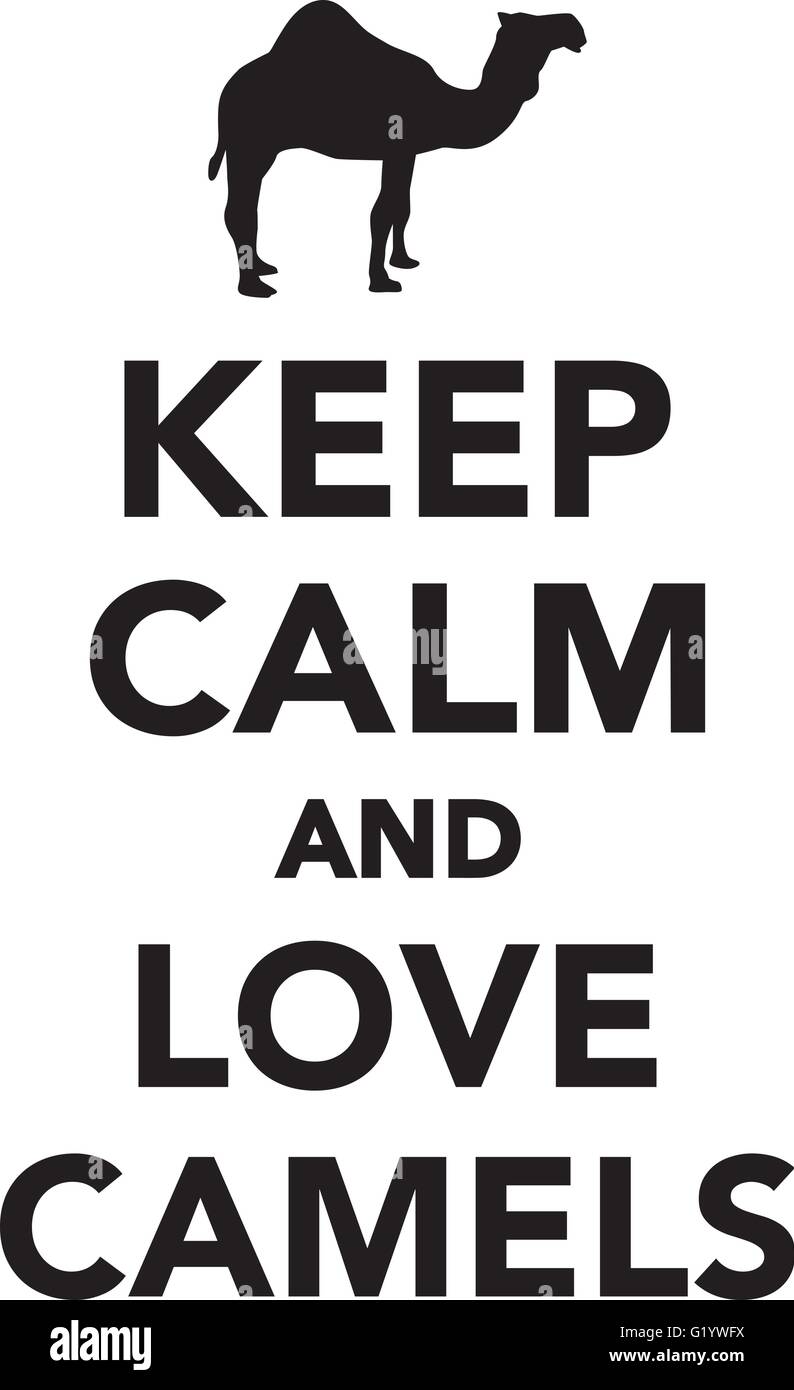 Calm camel Stock Vector Images - Alamy