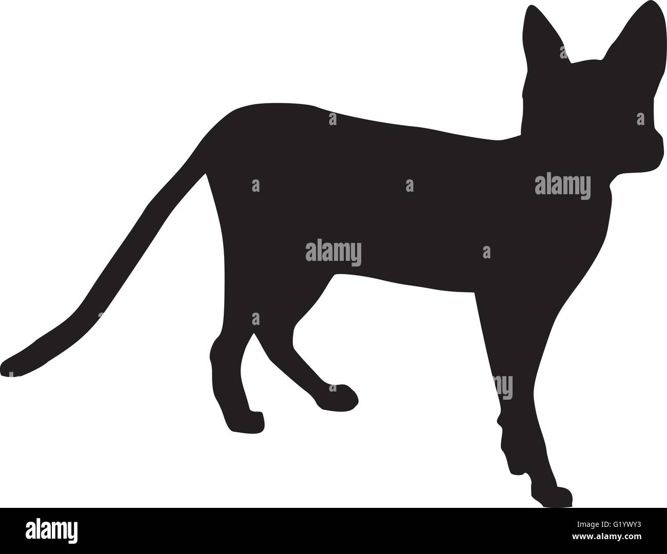 Sphynx cat icon Stock Vector Images - Alamy