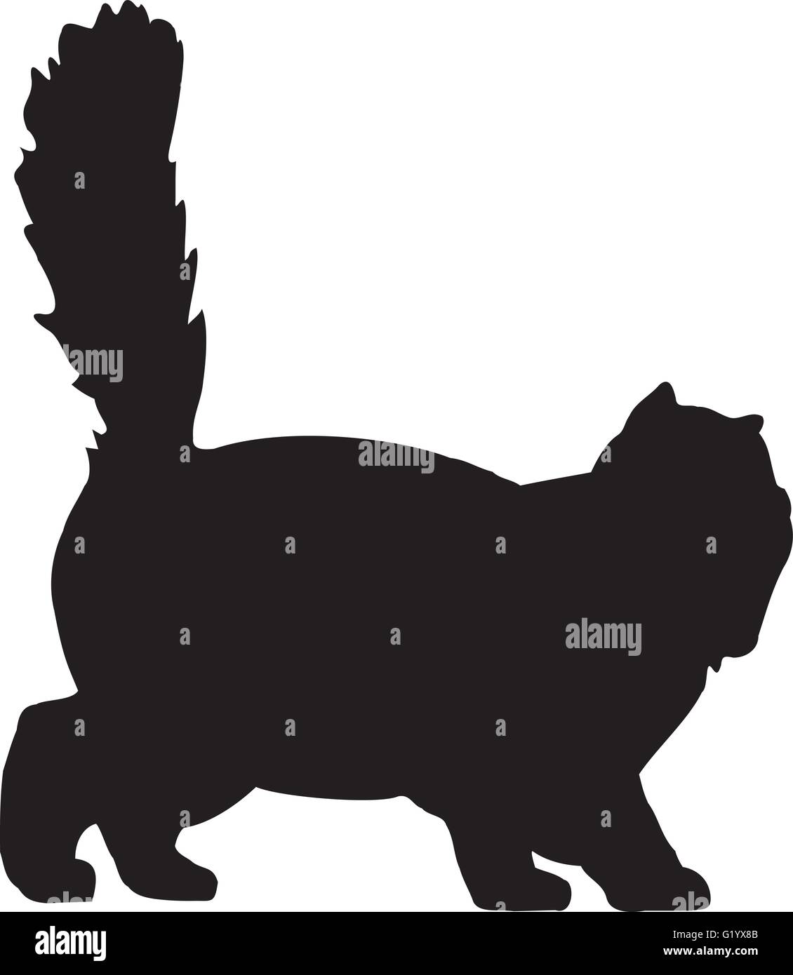 Persian cat breed on Stock Vector Images - Alamy