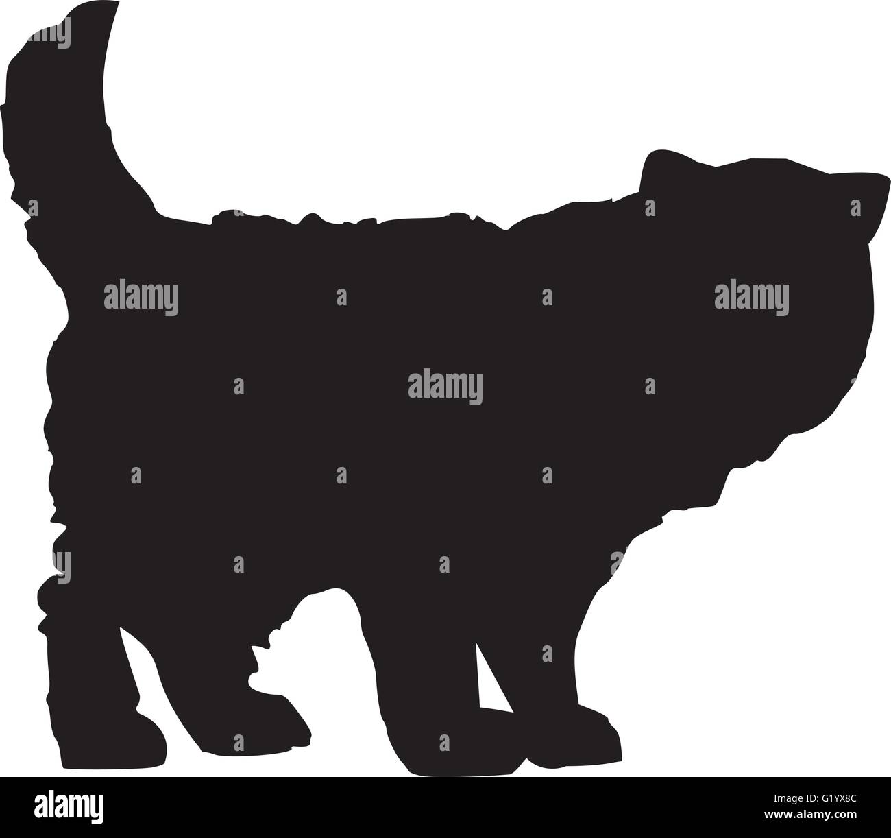 Persian cat breed on Stock Vector Images - Alamy