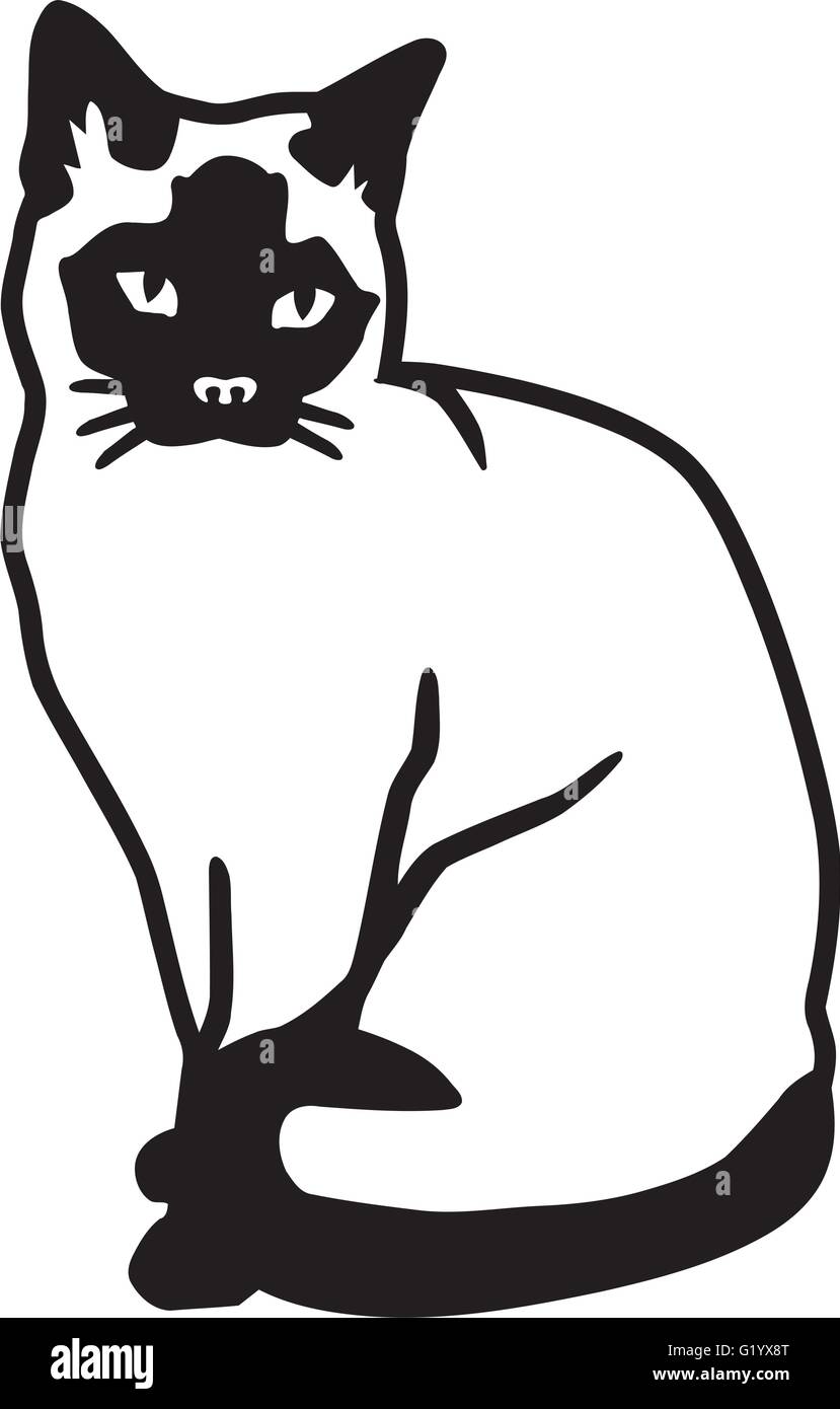 Siamese cat Stock Vector Images - Alamy