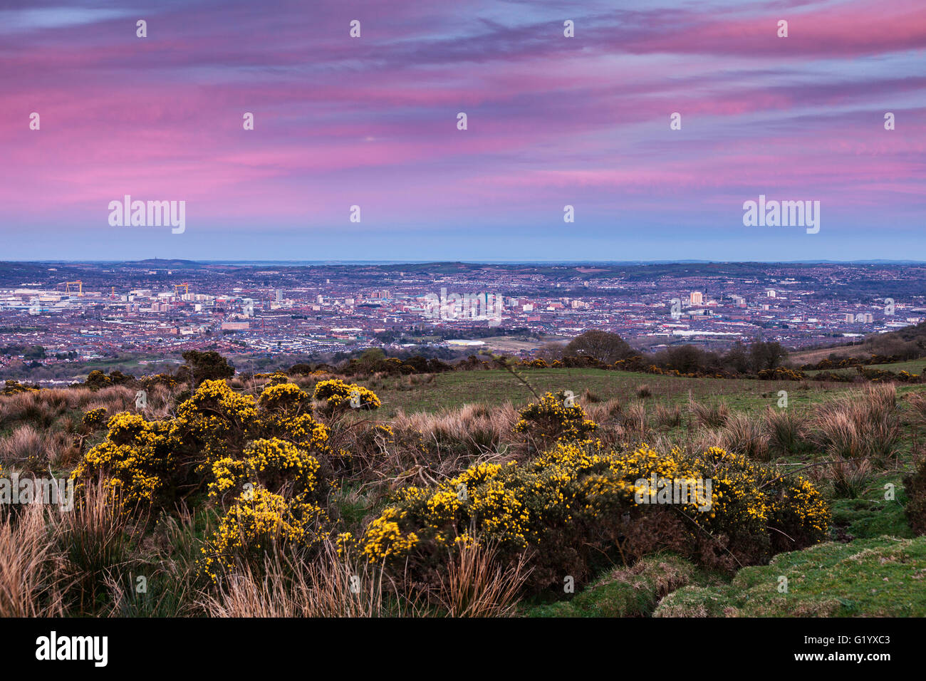 Aerial panorama of Belfast Stock Photo - Alamy
