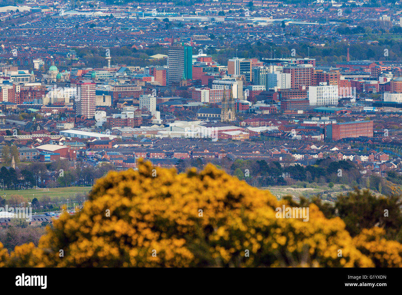 Aerial panorama of Belfast Stock Photo - Alamy