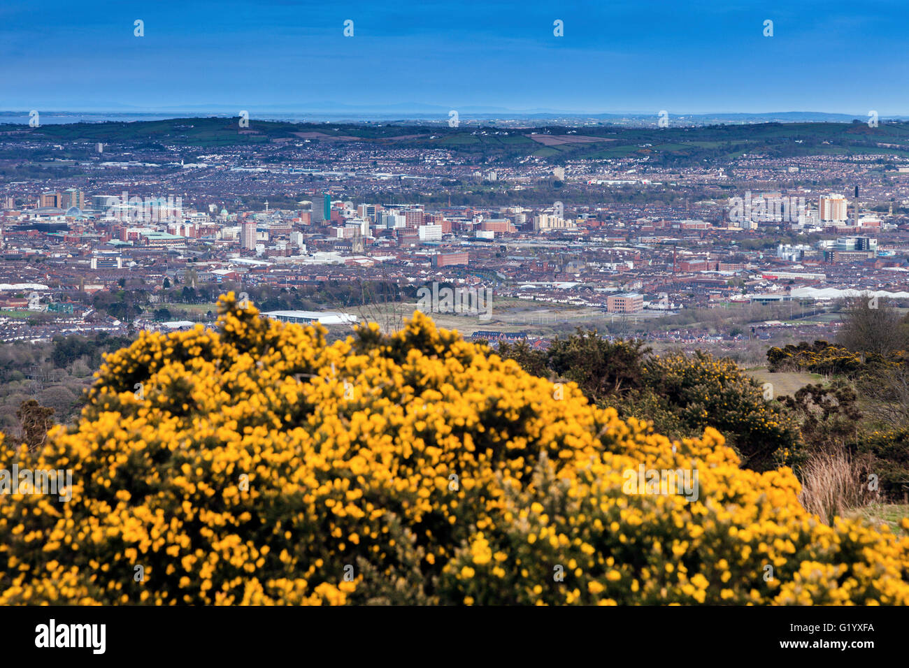 Aerial panorama of Belfast Stock Photo - Alamy