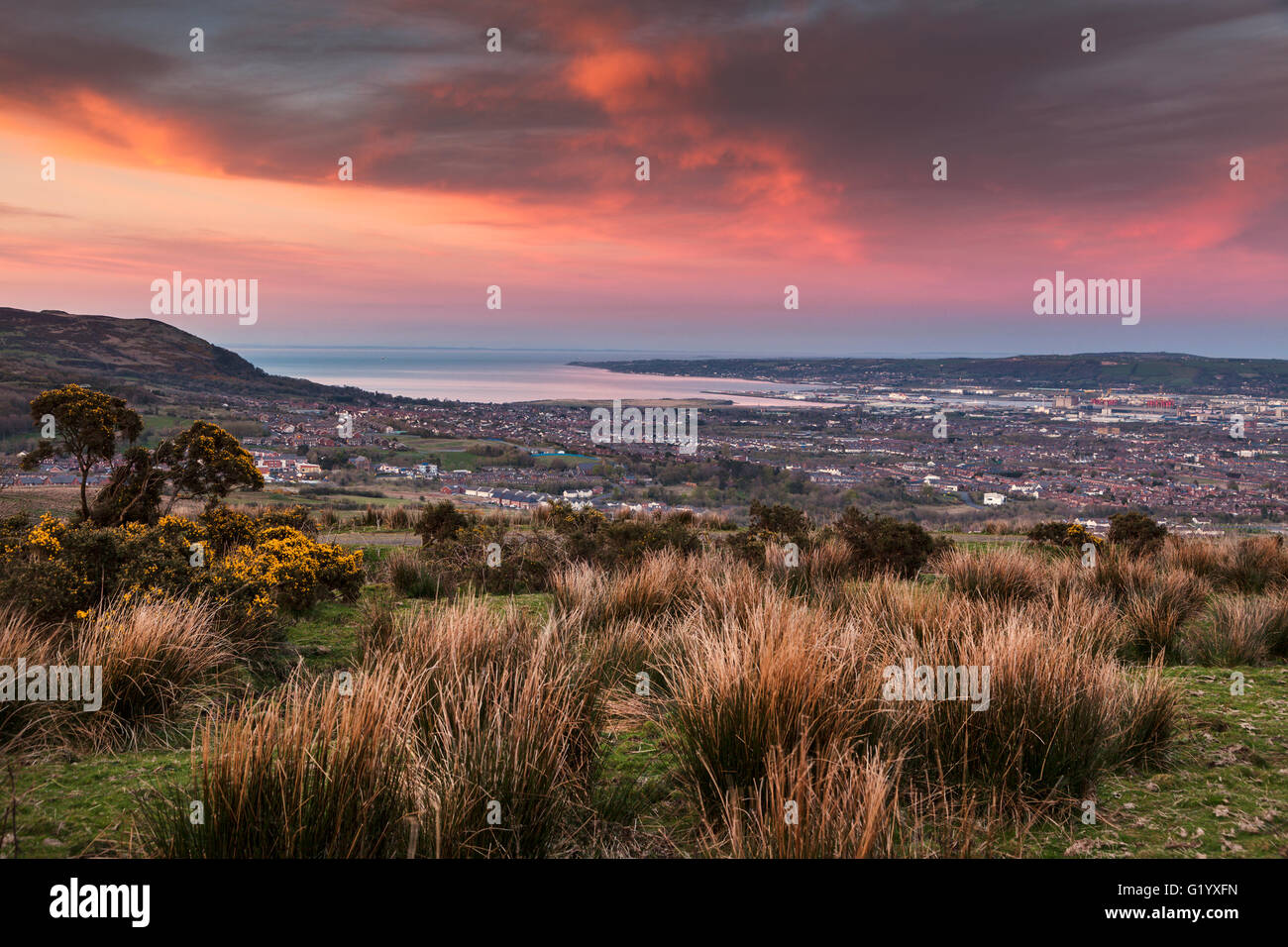 Belfast skyline sunset hi-res stock photography and images - Alamy
