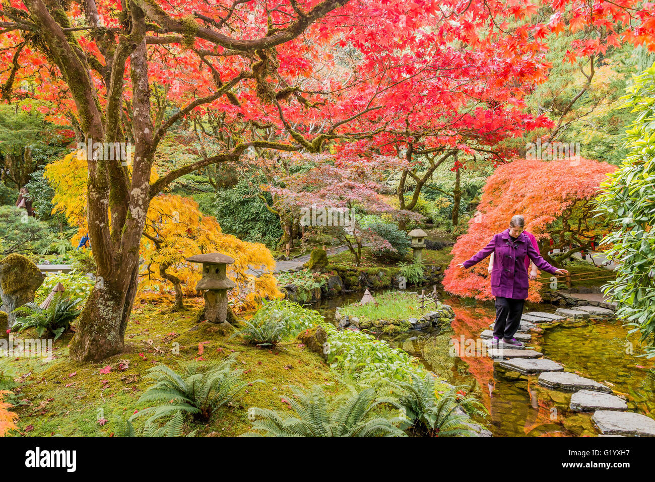 Fall colour, the Japanese Garden, Butchart Gardens, Brentwood Bay ...