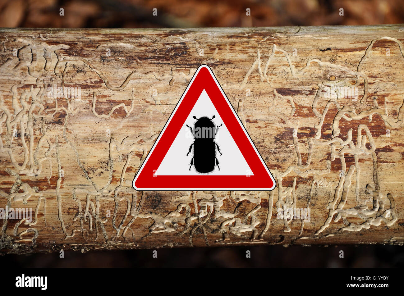 Bark-beetle attention sign Stock Photo - Alamy