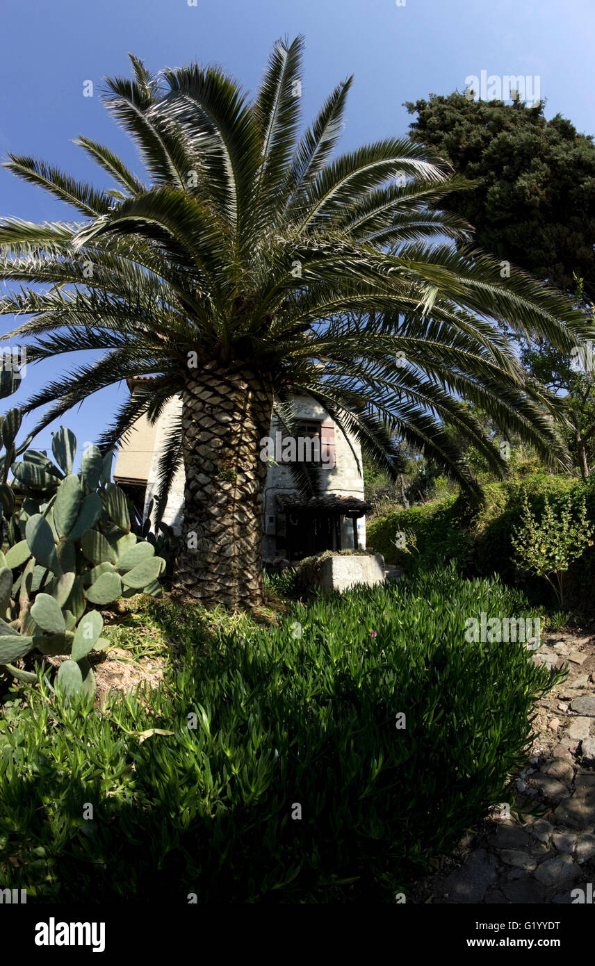Shady urban area hi-res stock photography and images - Alamy