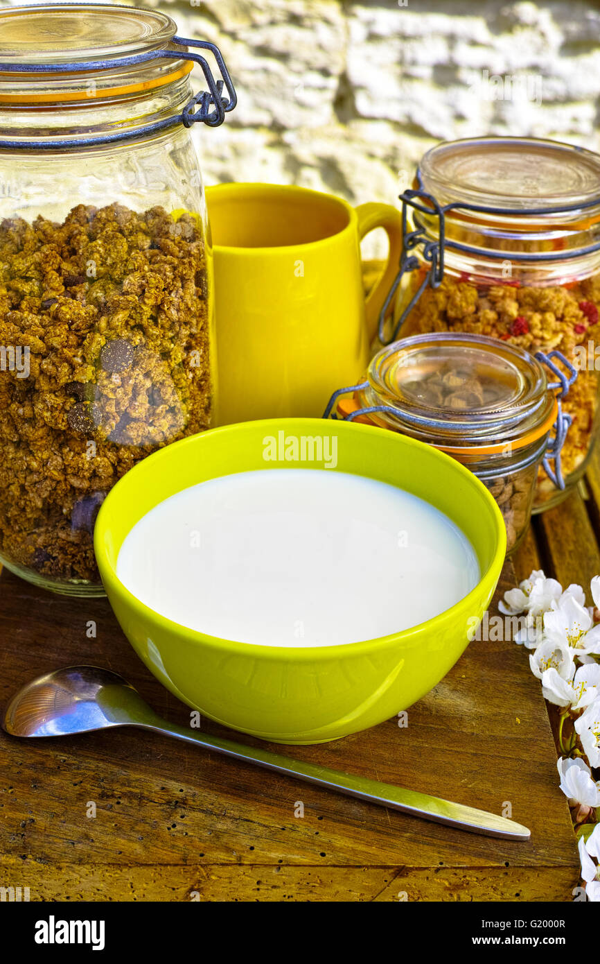 Healthy breakfast with milk and variety cereals in the garden, sunny ...