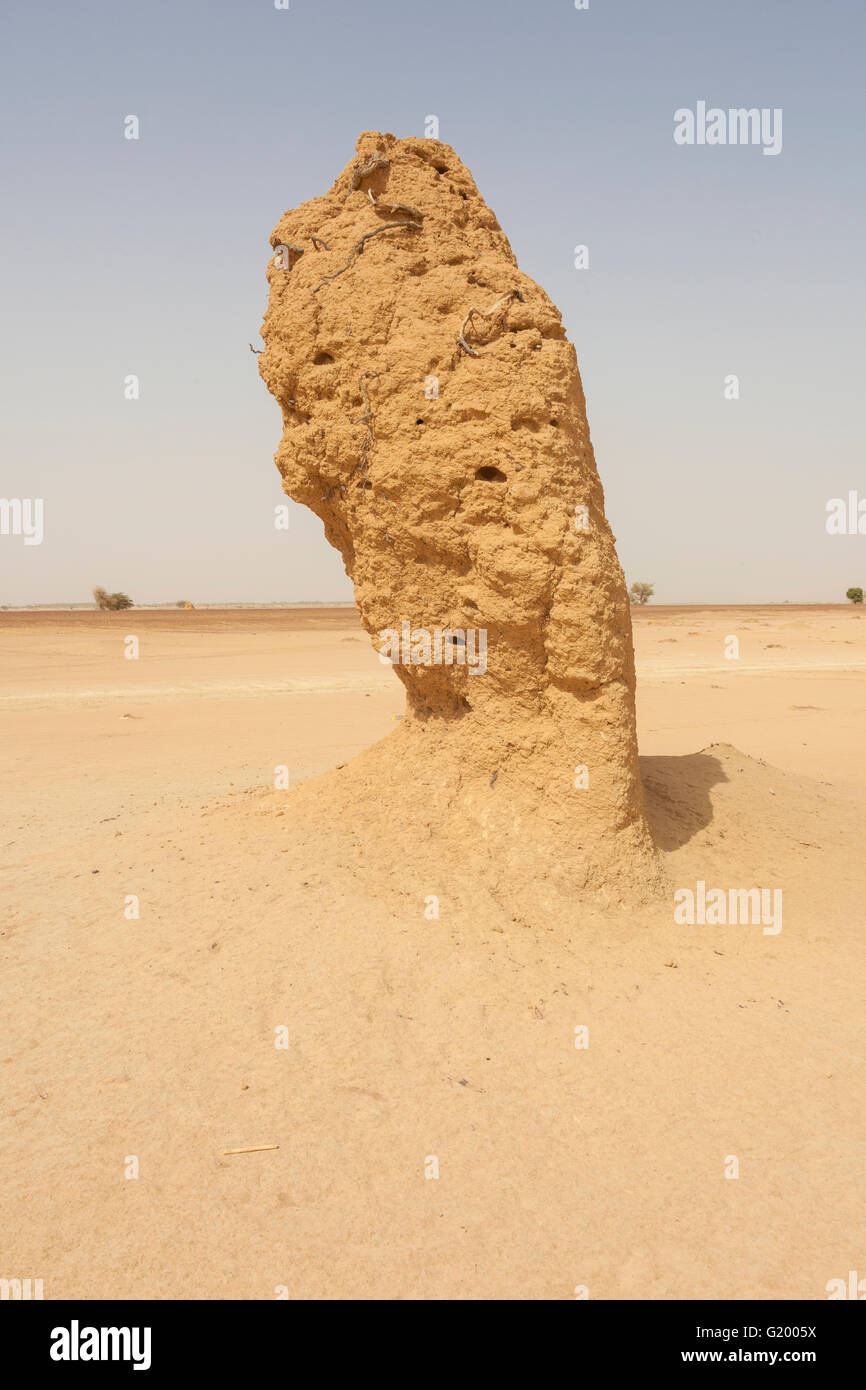 African termite mound Stock Photo - Alamy