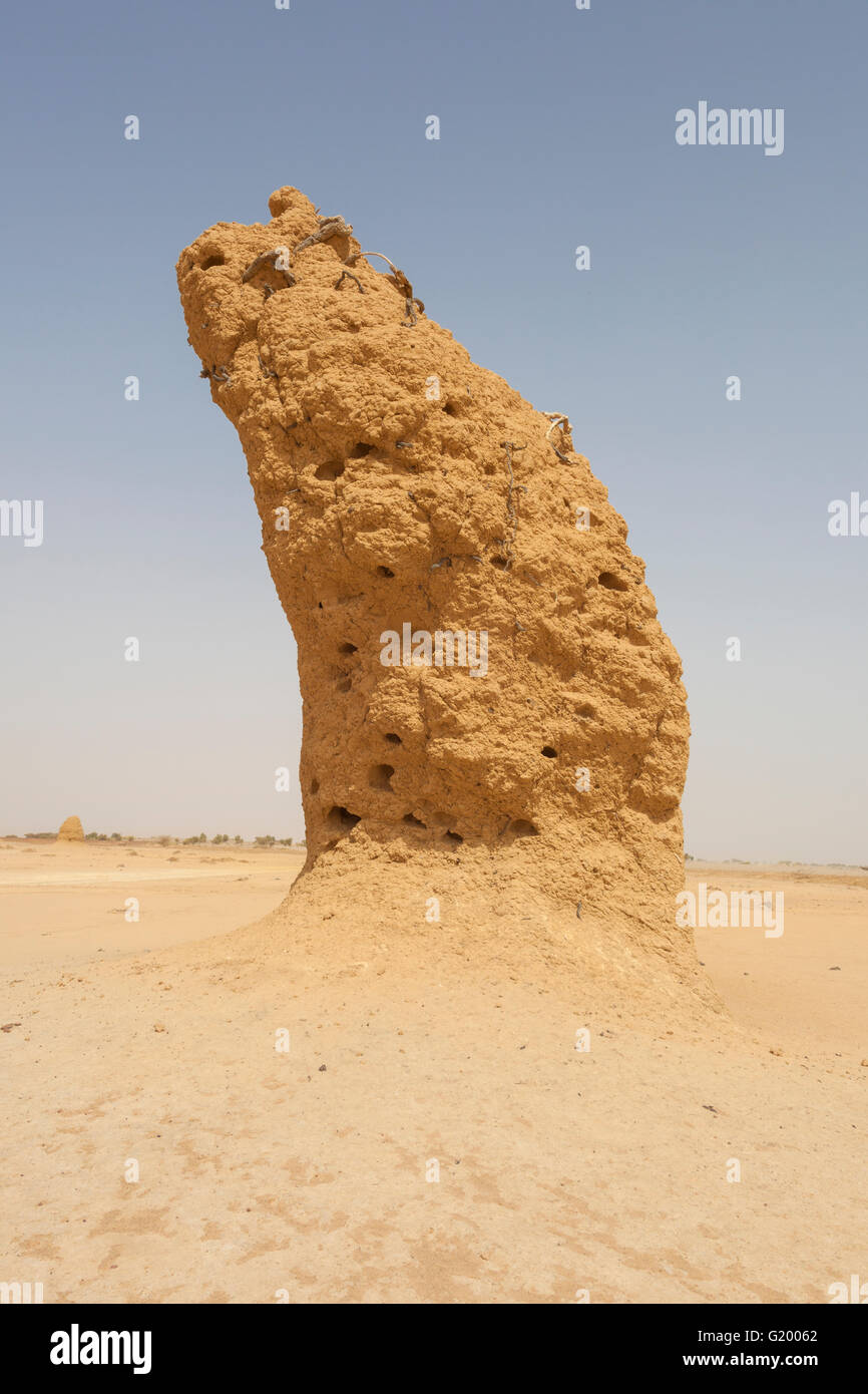 Termite tunnels hi-res stock photography and images - Alamy
