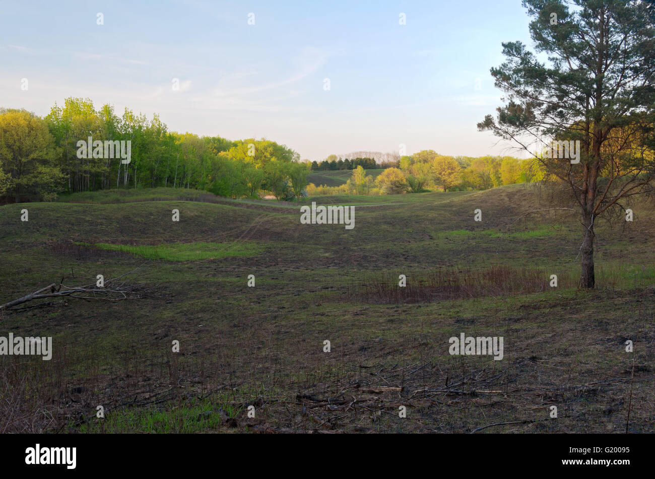 open fields and meadows with forests on border at battle creek regional ...