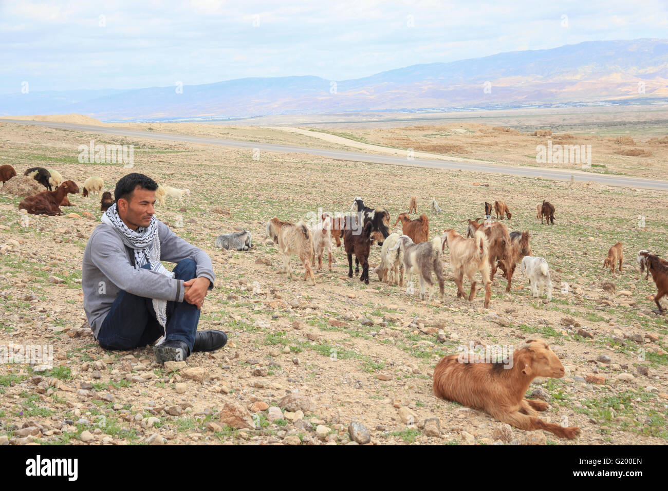 Israel Goats High Resolution Stock Photography and Images - Alamy
