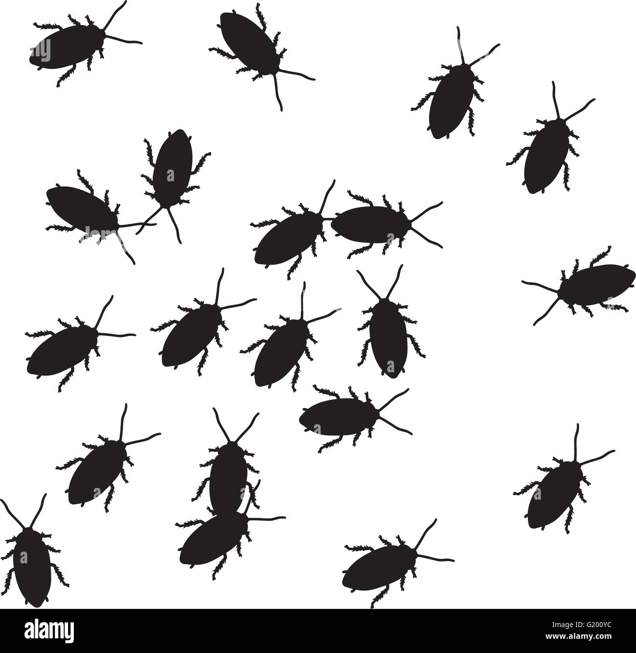 Cockroaches illustration Stock Vector Images - Alamy