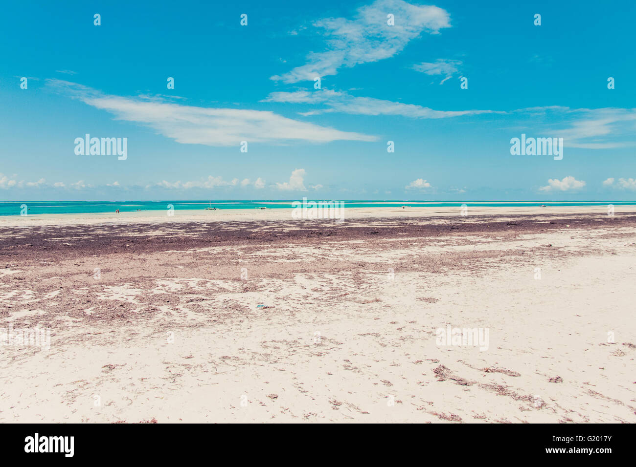 Dry beach in Zanzibar Stock Photo - Alamy