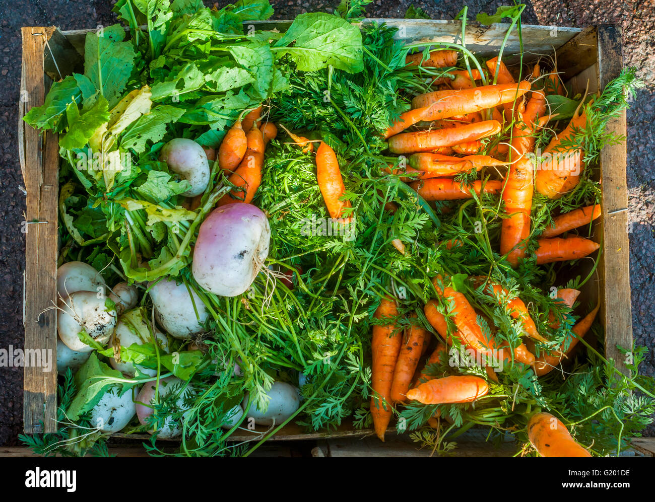 “Bio” / organic foods in box - France Stock Photo - Alamy