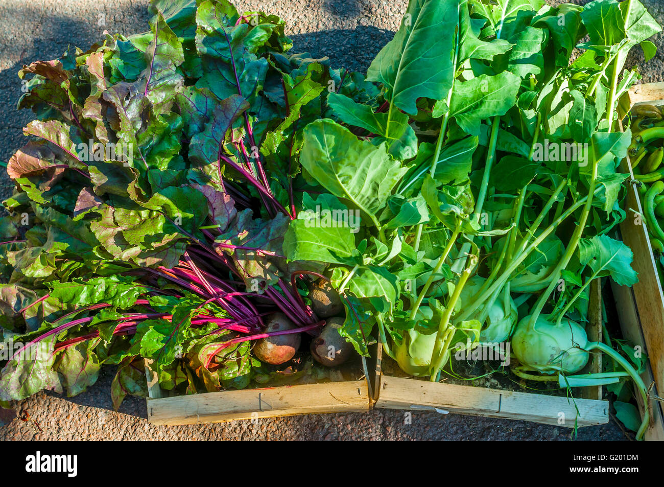 “Bio” / organic foods in box - France Stock Photo - Alamy