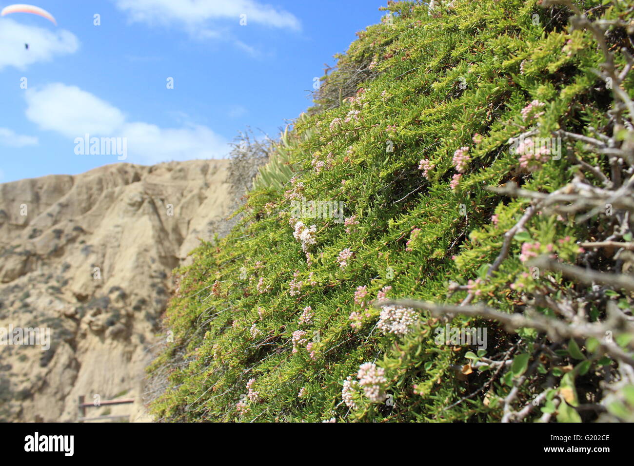 Rediscover nature hi-res stock photography and images - Alamy