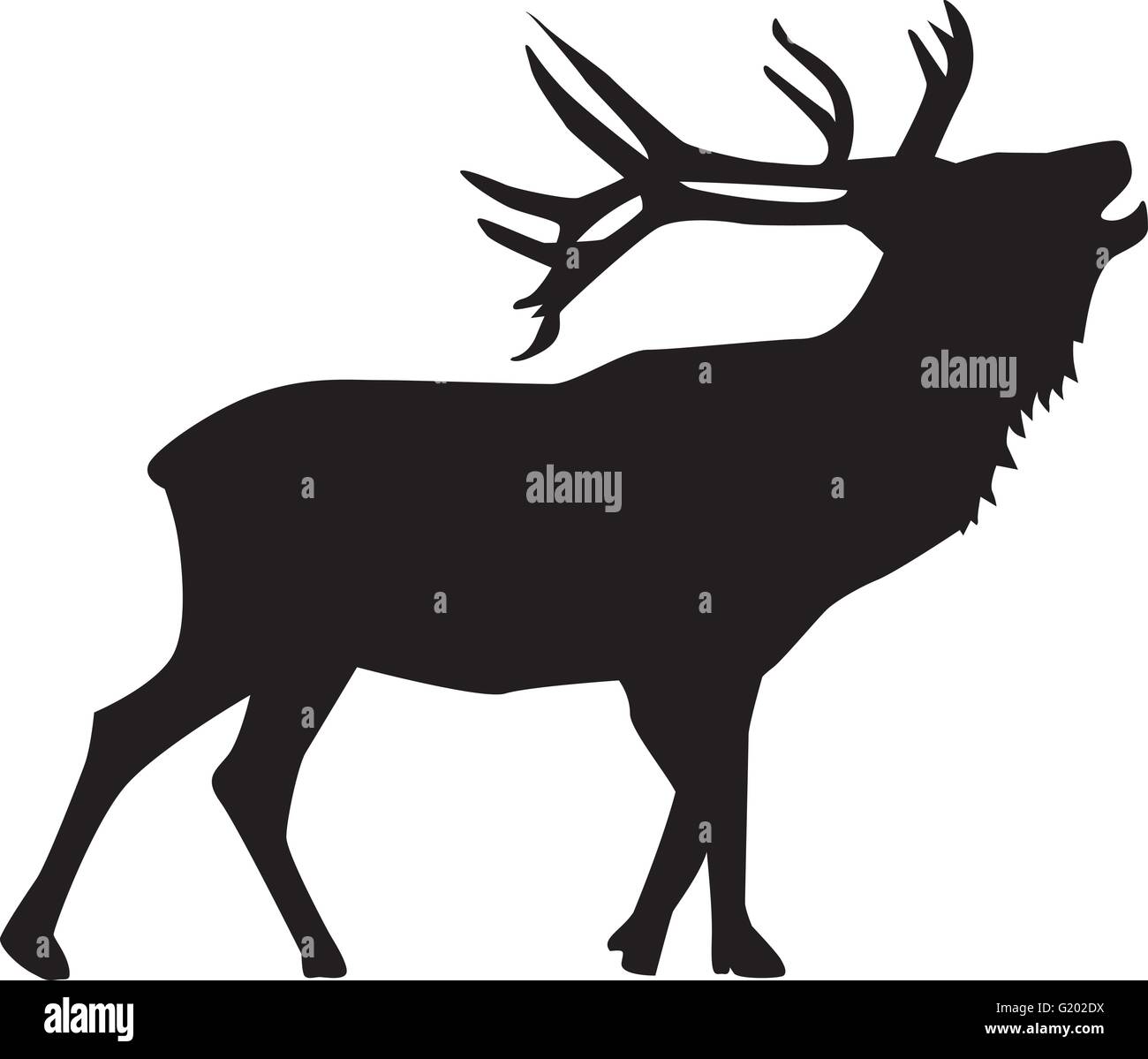 The belling Stock Vector Images - Alamy
